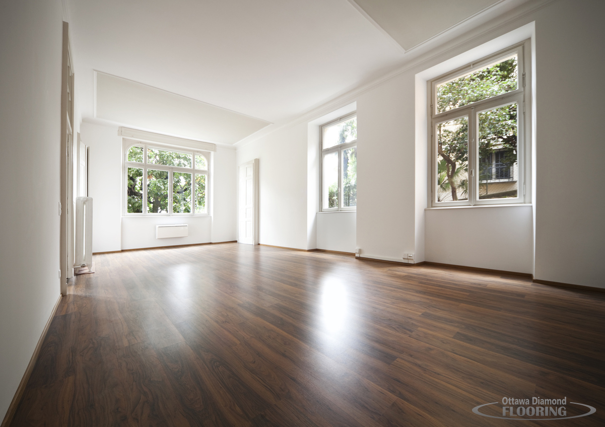 5 Tips for Preventing Hardwood Floor Fading - Ottawa Diamond Flooring