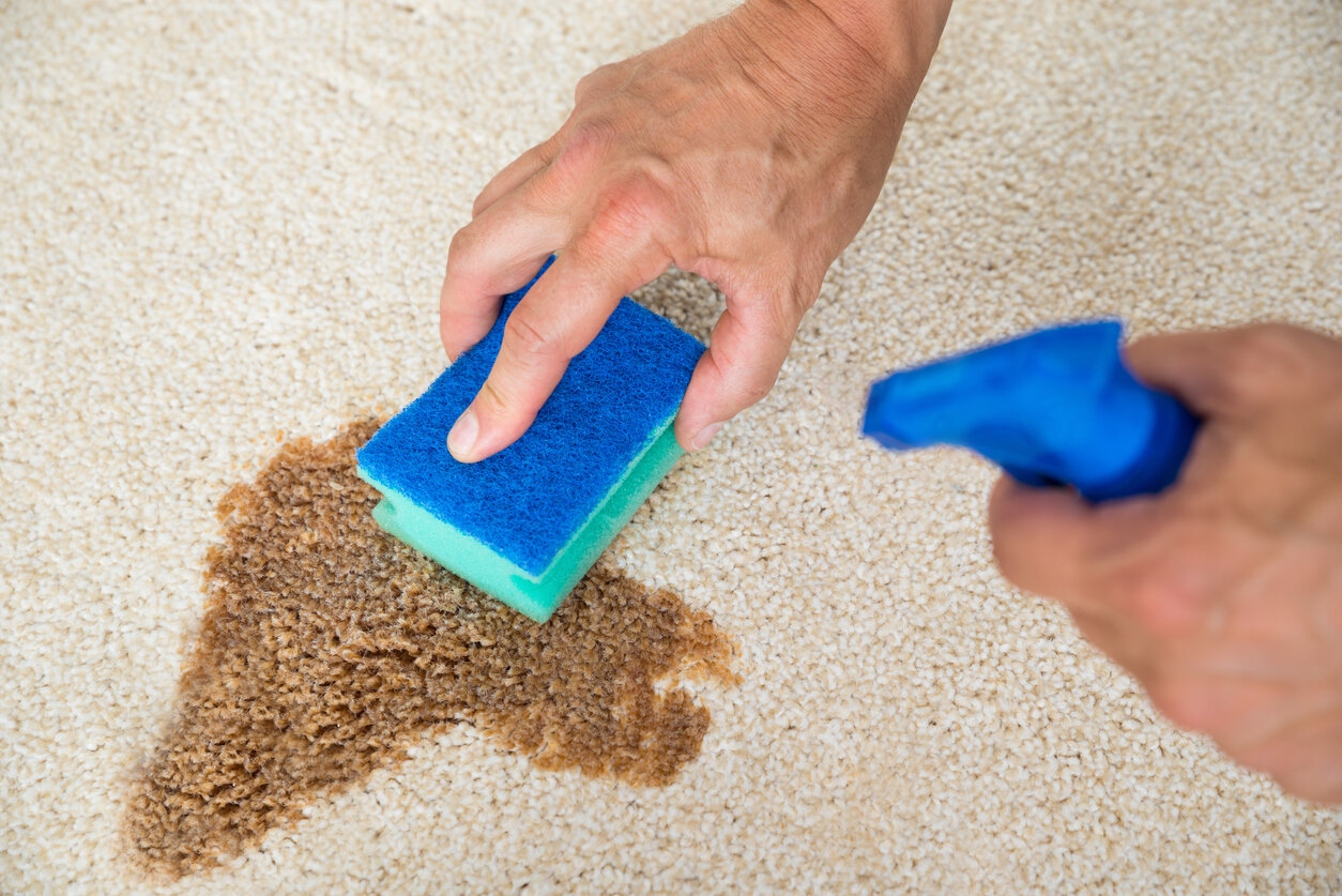 Carpet Smell? Here's What You Can Do
